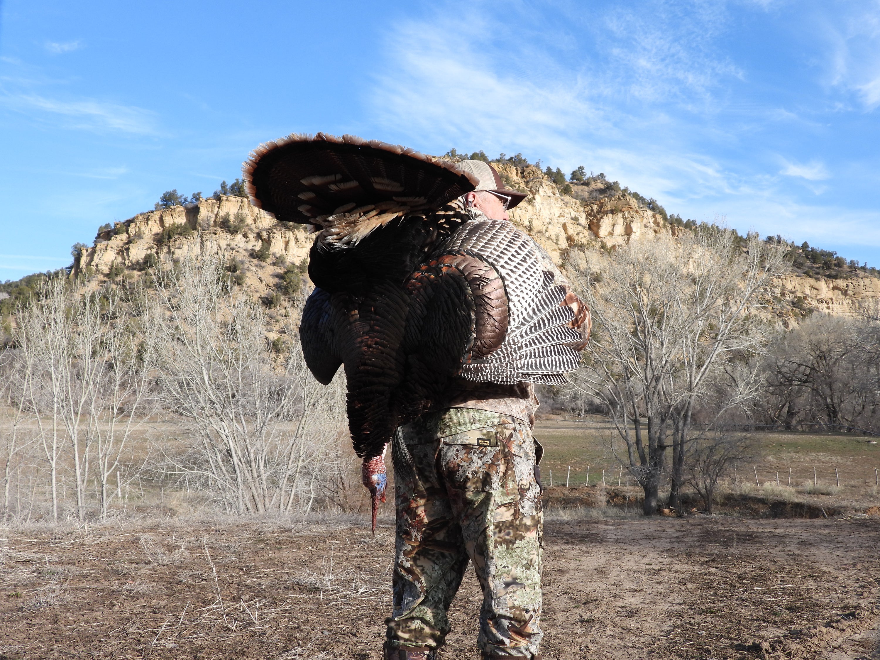 Is TSS or Lead Better for Turkey Hunting? – Salt Creek Custom Ammunition